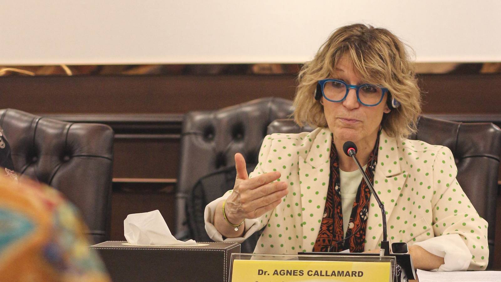 Sekjen Amnesty Agnes Callamard berkunjung ke Indonesia mengevaluasi ...